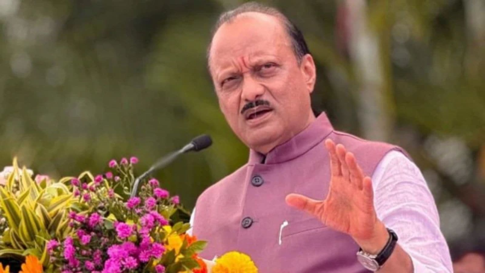 Deputy CM Ajit Pawar calls for boost in German ties in green energy ...