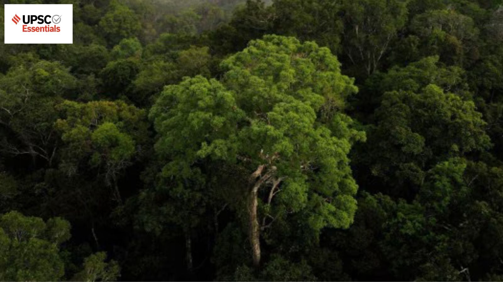 UPSC Essentials | Daily subject-wise quiz : Environment and Geography ...