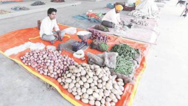 Punjab Mandi Board to transfer Mohali’s fruit and vegetable market to ...