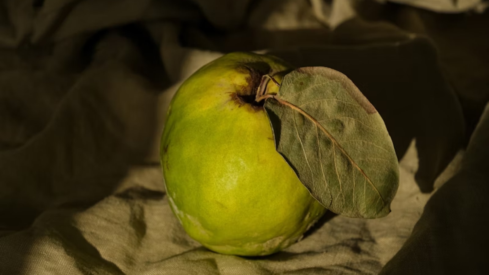 Reasons you must eat roasted guava | Lifestyle Gallery News - The ...