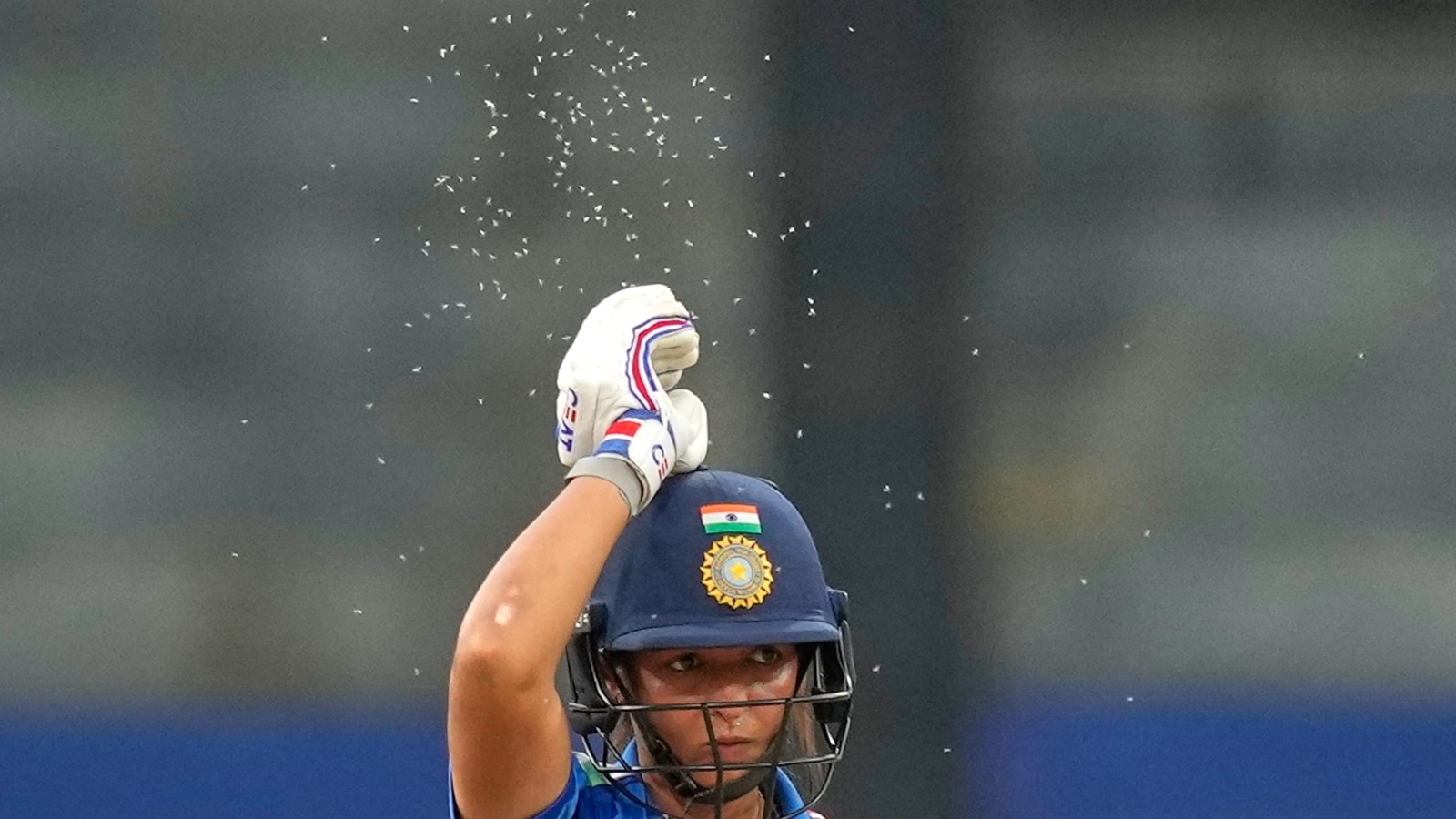 Insects stop play! Bizarre scenes as India vs Pakistan Women's World ...