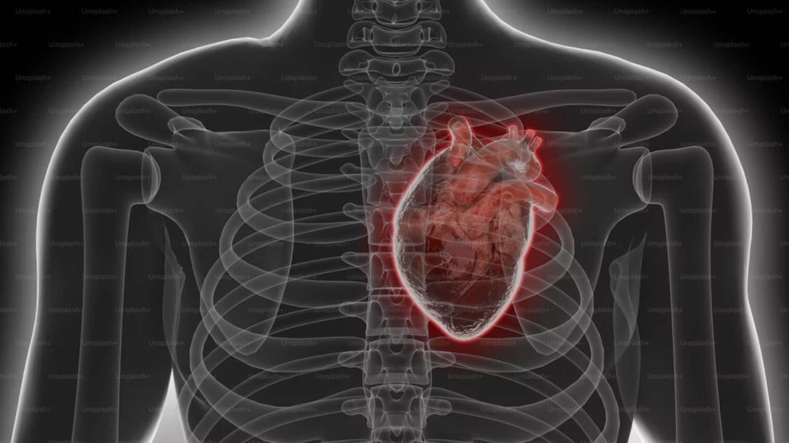 Heart health and exercising: All you need to know | Lifestyle Gallery ...