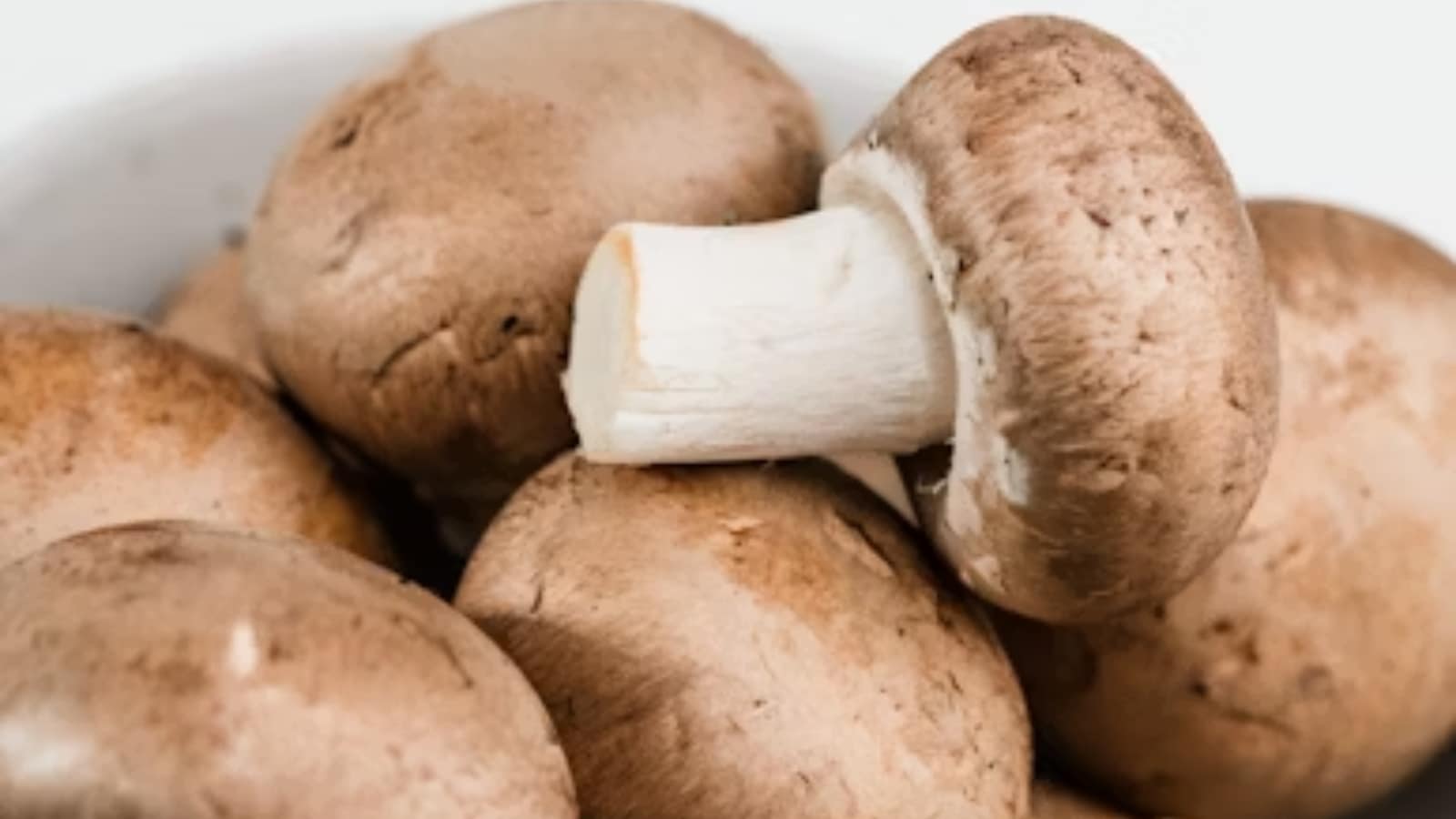 Six delicious ways to enjoy mushrooms | Lifestyle Gallery News - The ...