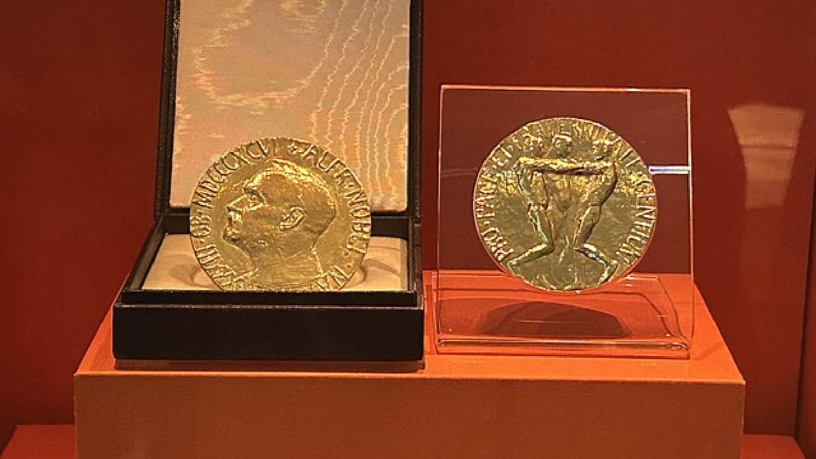 Interesting facts about Nobel Prize | Lifestyle Gallery News - The Indian Express