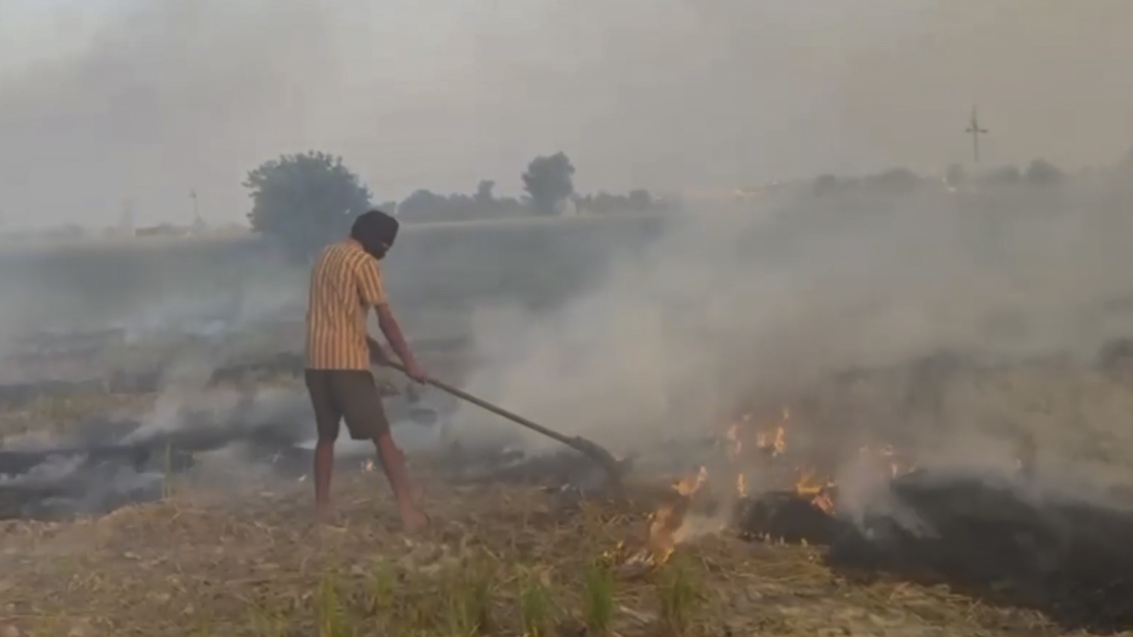 308 stubble burning cases in Punjab since Sept 15; Tarn Taran records maximum | Chandigarh News ...