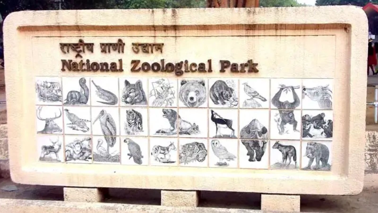 Shut for a month after bird flu outbreak, Delhi zoo may reopen soon ...