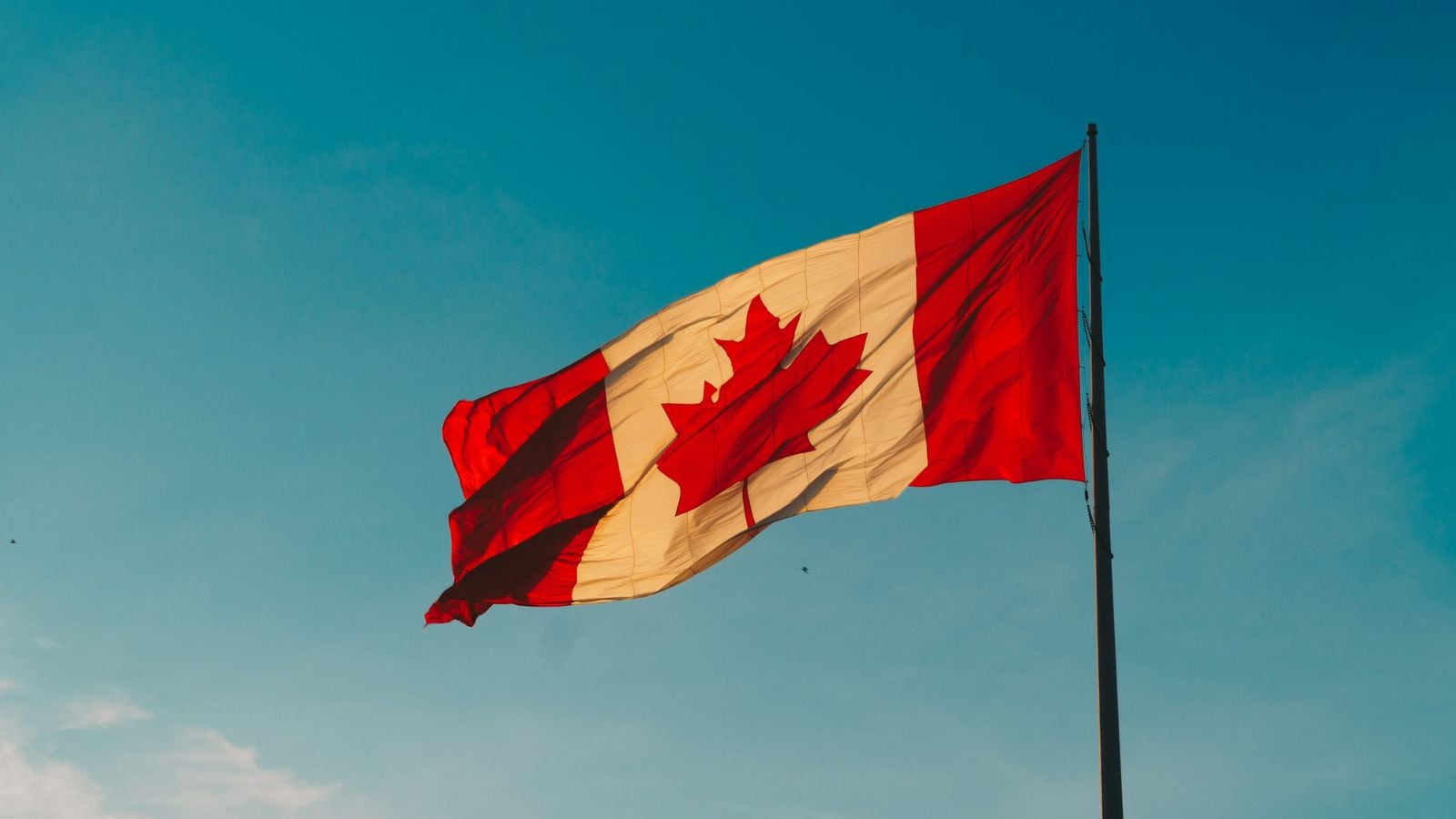 ‘Morally reprehensible’ but not a crime: Canadian man accused of ...
