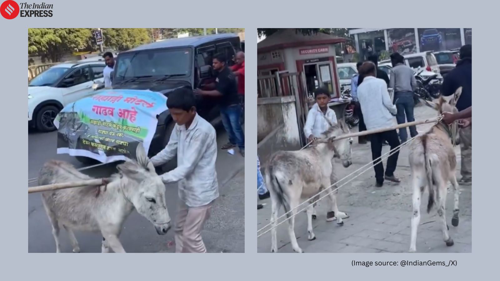 Maharashtra man makes donkeys pull SUV in protest against dealership ...