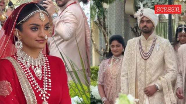 Rama Raju Mantena’s Daughter Netra Mantena’s Udaipur Wedding: Cost, Net ...