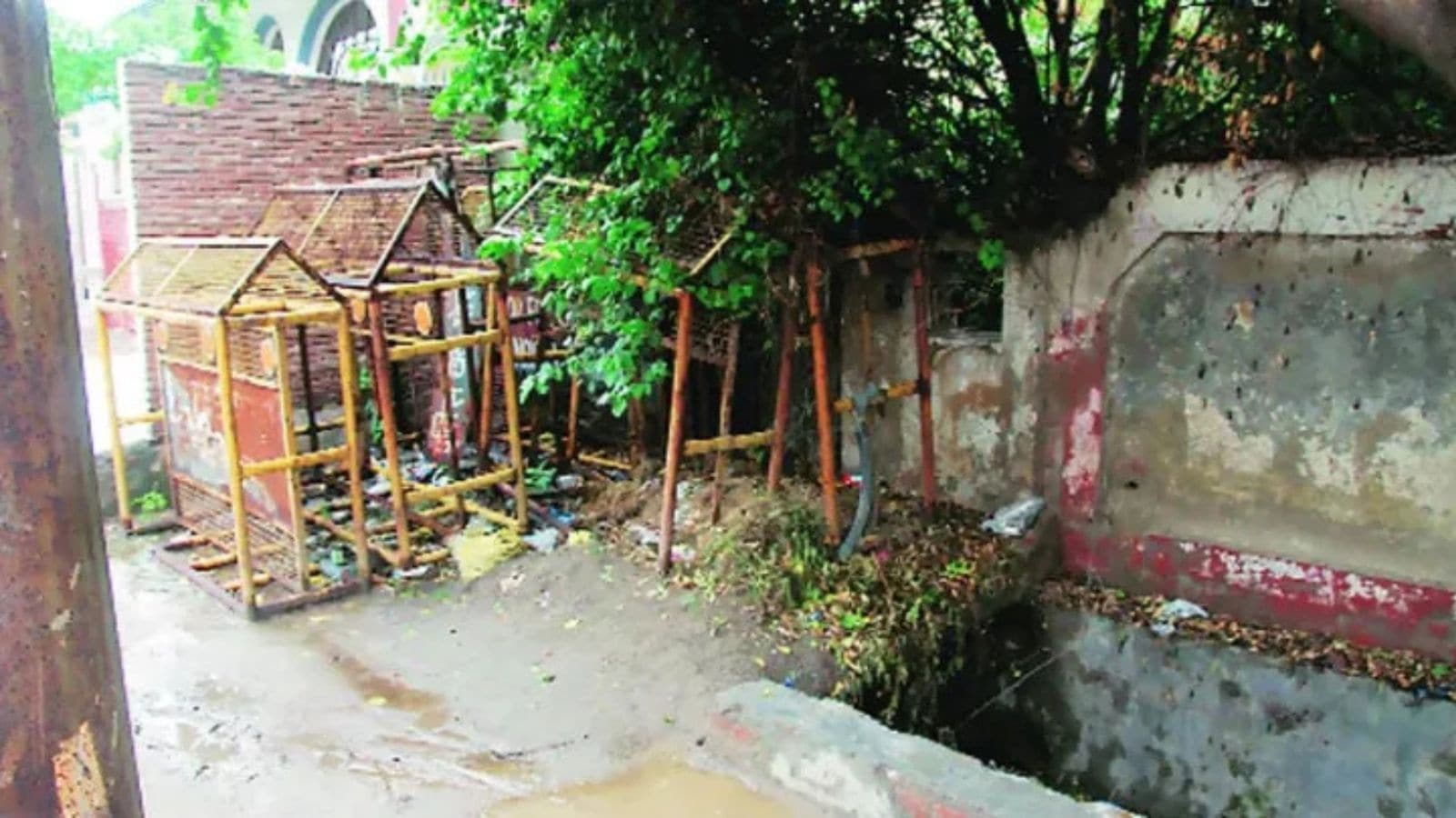 Justice denied, justice delivered: Nithari accused Koli’s long walk to ...