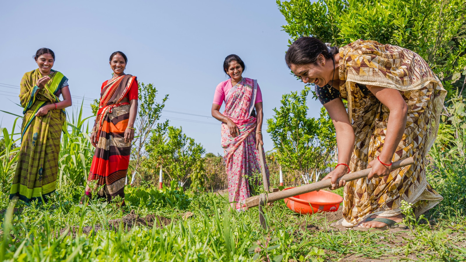 PM-KISAN scheme: Check eligibility, benefits, and how to apply