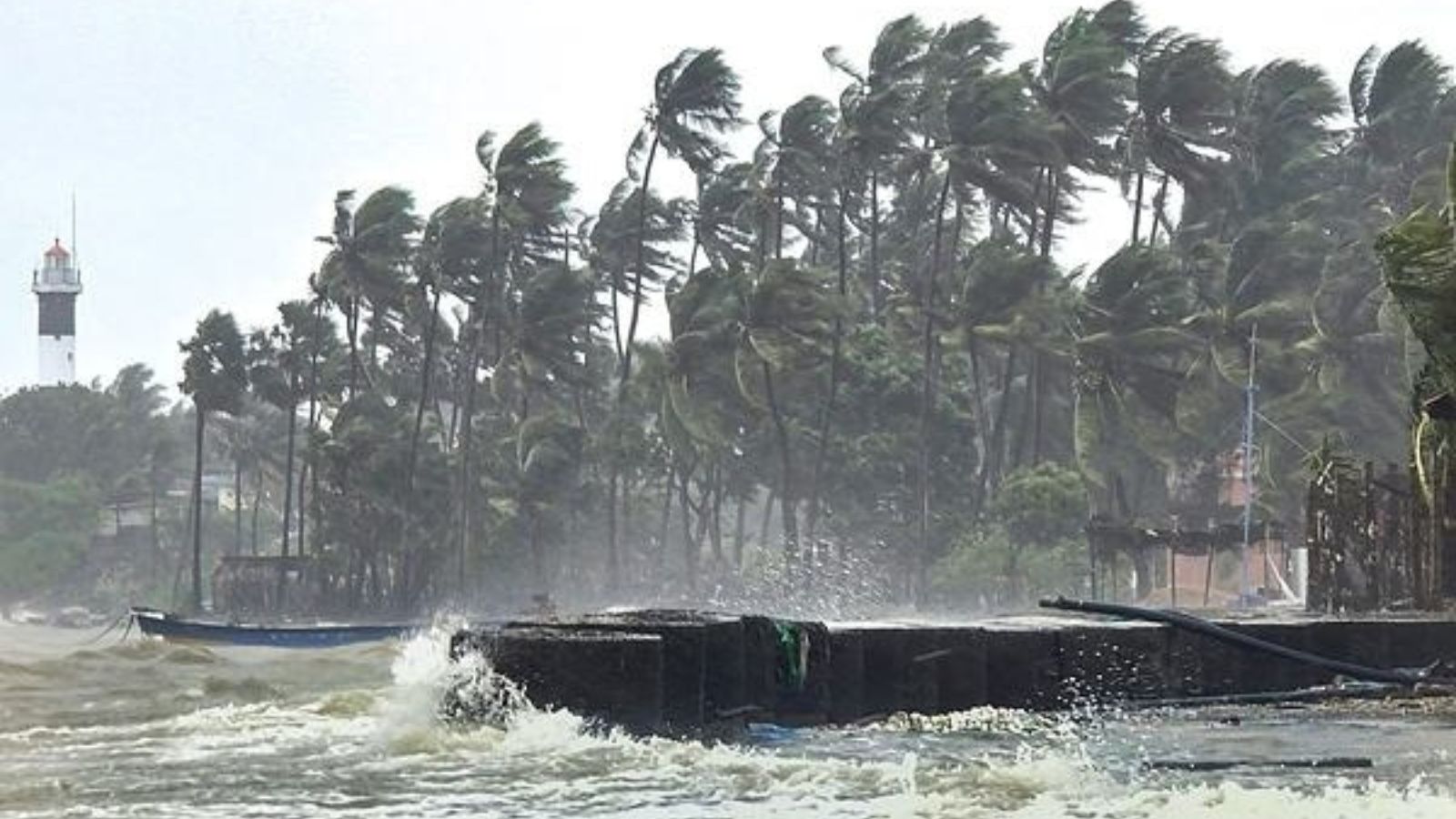 TN braces for heavy rain as cyclone Ditwah inches closer, CM Stalin ...