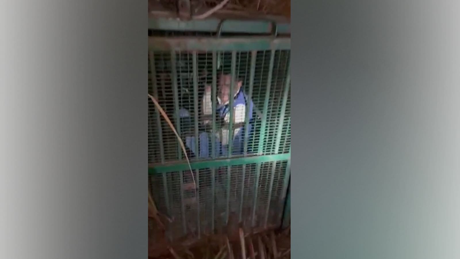UP leopard cage incident: How ‘drunk’ man got trapped in cage meant for ...