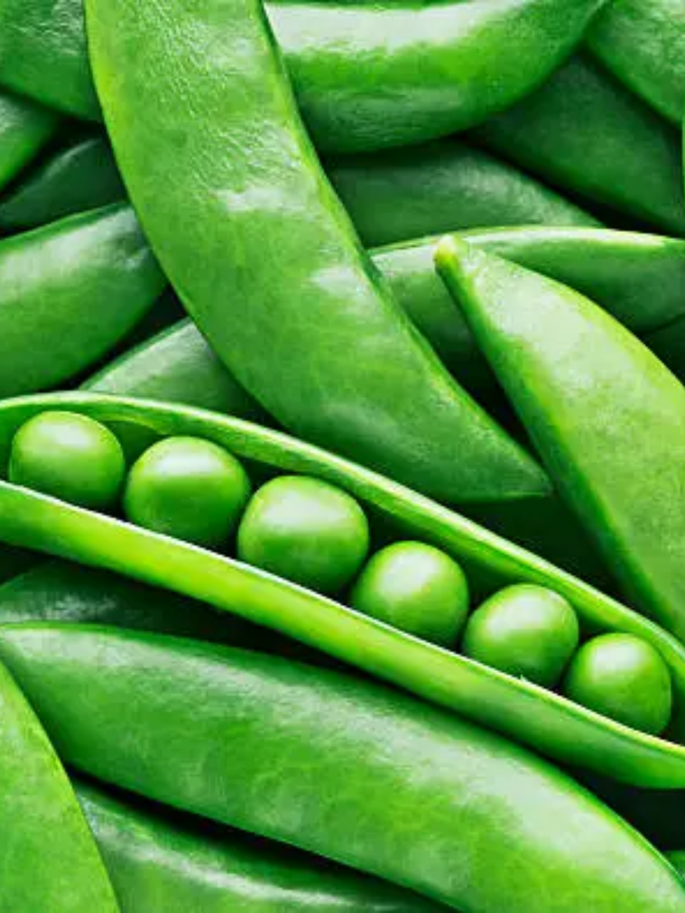 Why eating fresh peas in winters could help you