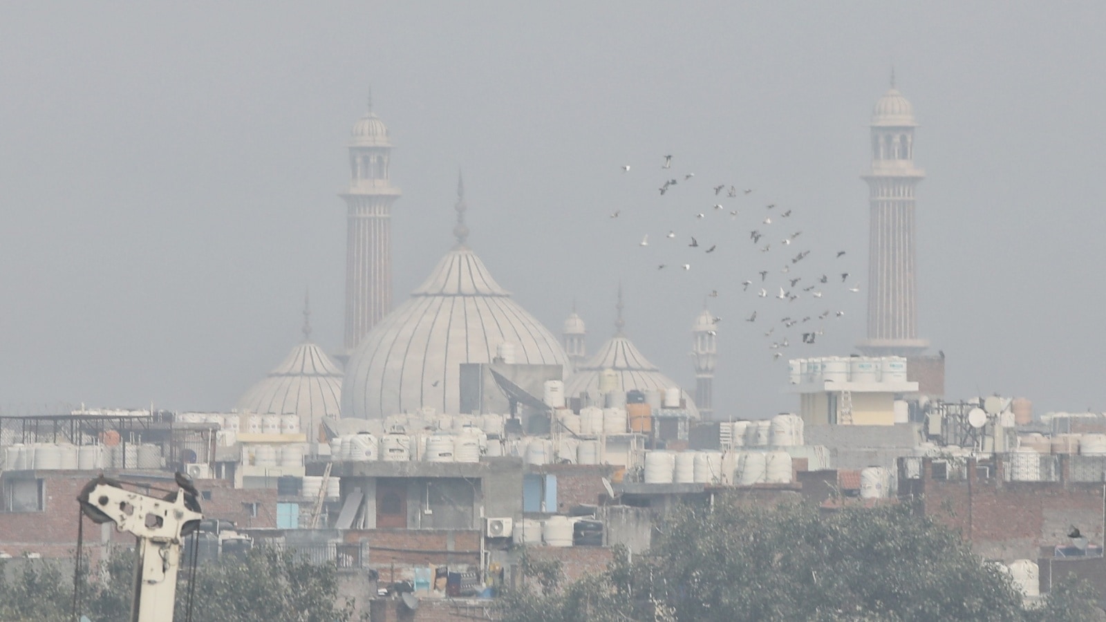 Who’s my neighbour| My neighbours taught me that acceptance is built ...