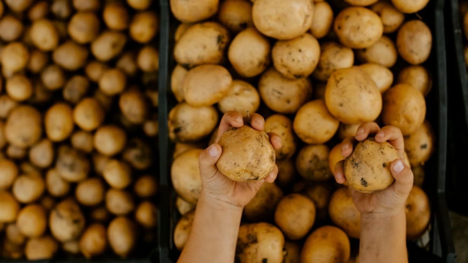 Potatoes might be more useful than you think | Lifestyle Gallery News ...