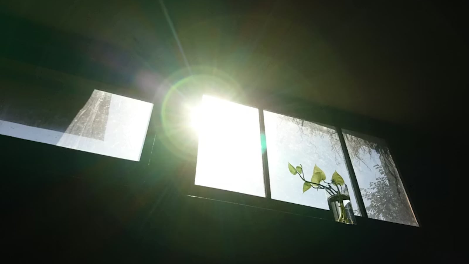 The best time for sunlight exposure is… | Lifestyle Gallery News - The ...