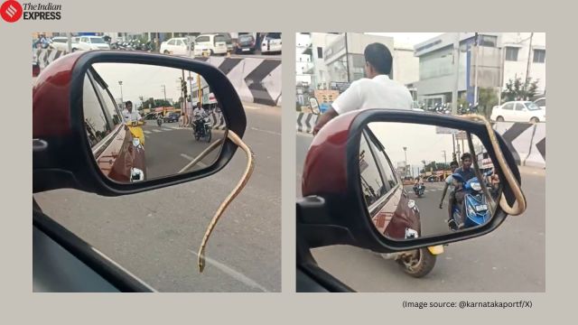 Tamil Nadu man finds snake hiding inside car’s side mirror, viral video ...