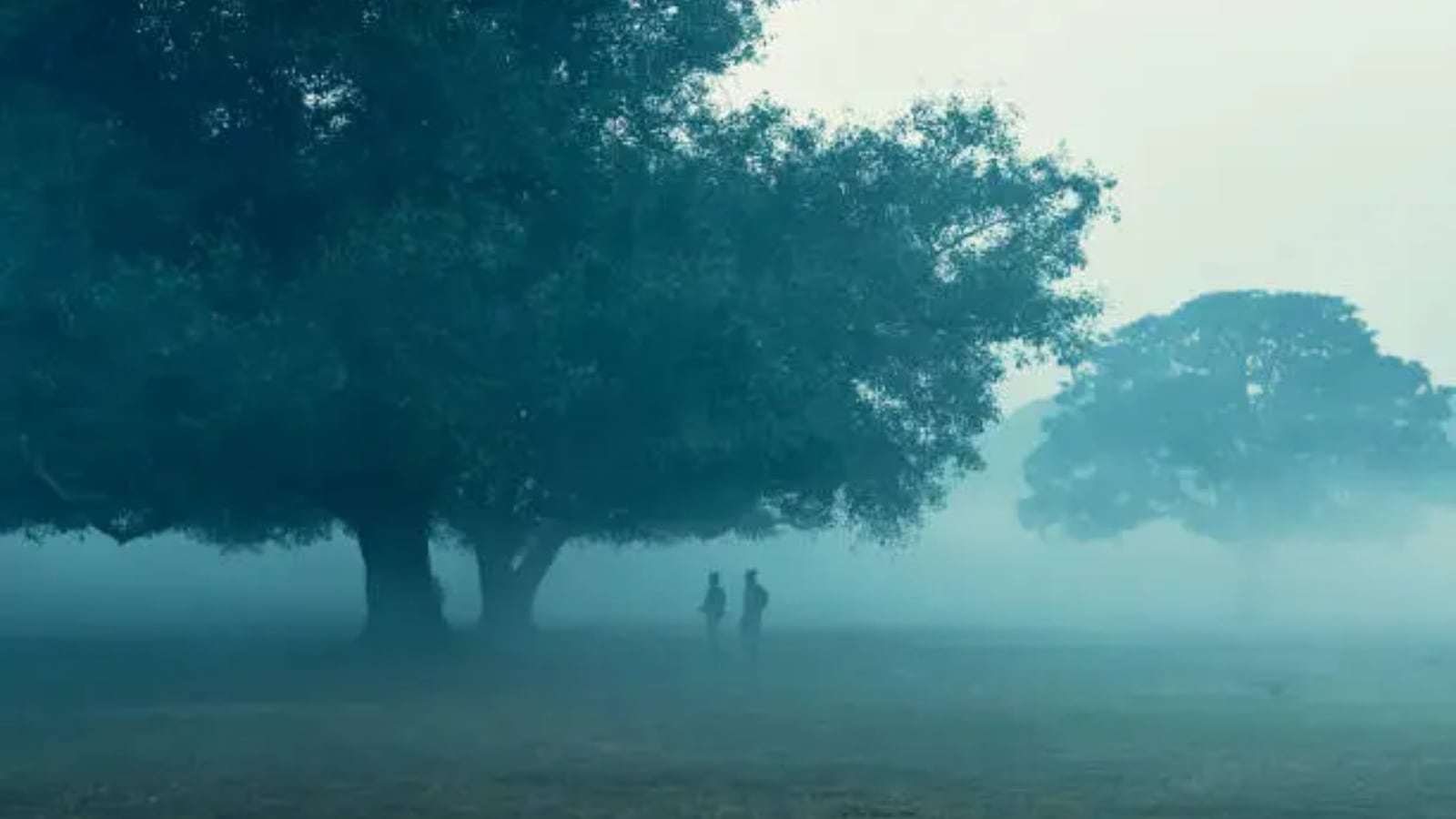 What Is Winter Bronchitis Know Causes Symptoms And Heatlh Advice For ...