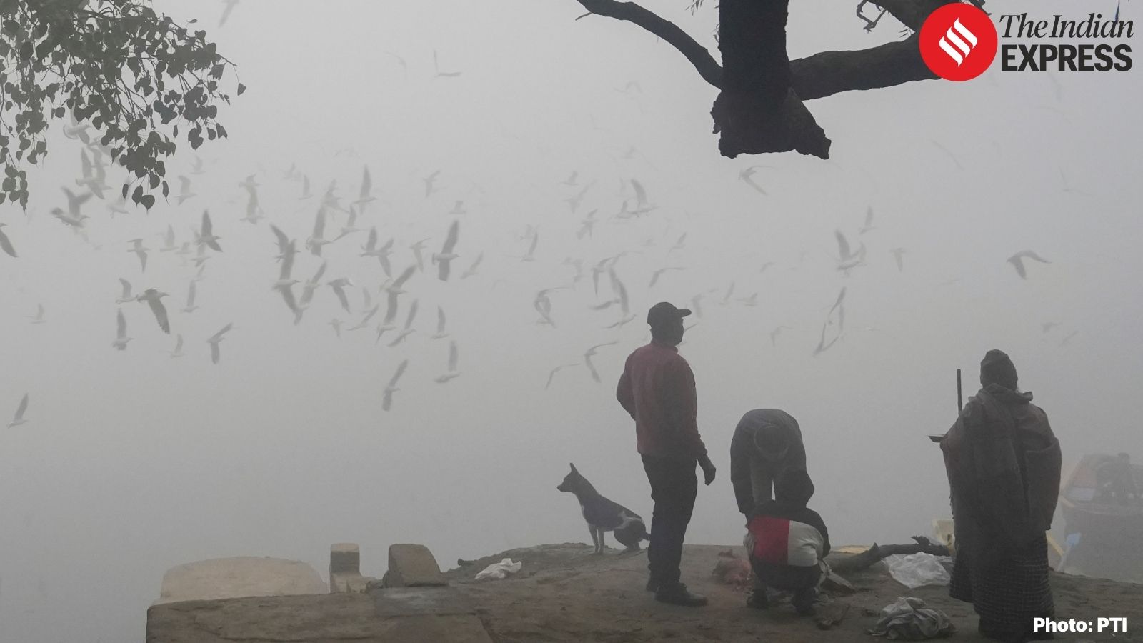 Prolonged fog and dry spell leaves December 5th driest over India : IMD
