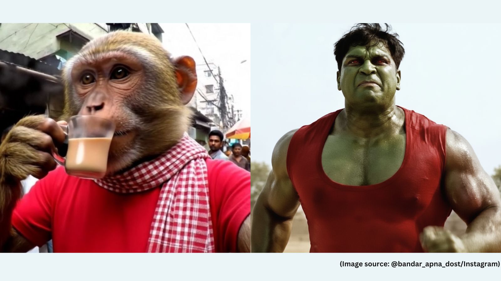 India’s ‘Bandar Apna Dost’ YouTube channel made $4.25 million: ‘out ...