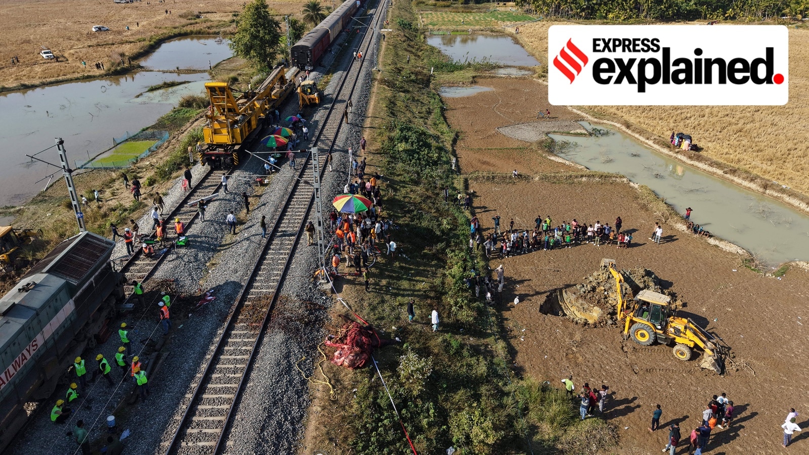 Seven elephants die in train hit in Assam: How such accidents can be ...