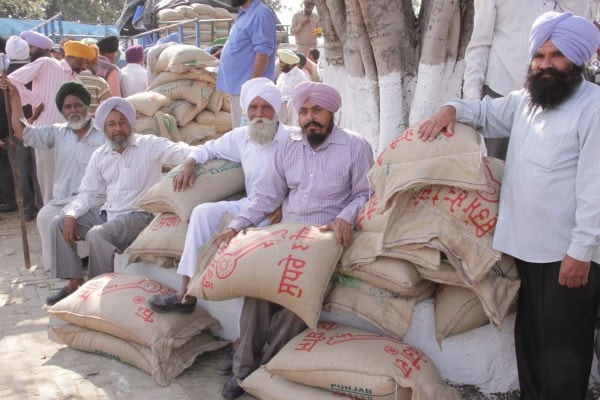 Yearender 2025: Ludhiana’s PAU reaffirms its status in rankings, farmer ...