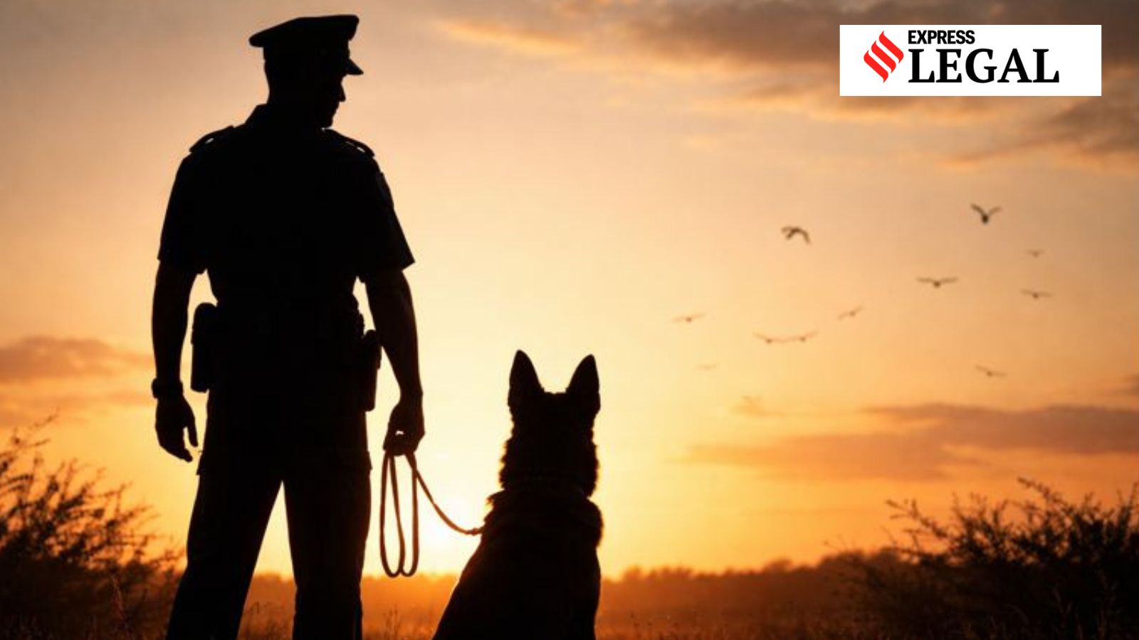 Finding Laika: How a lost and found service dog prompted Punjab and ...