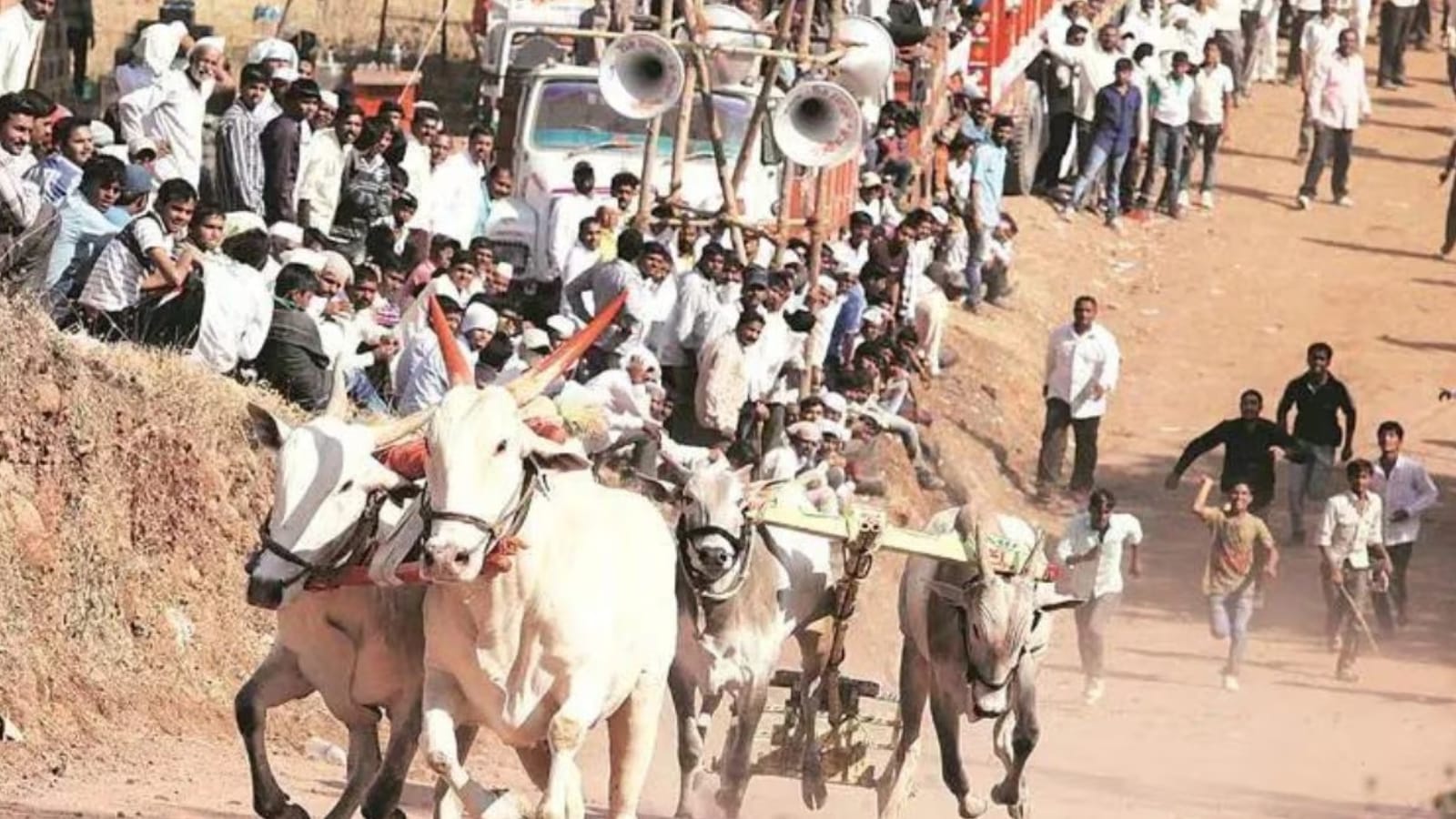 29th Kabaddi Tournament at Sohana draws crowds with bullock cart races
