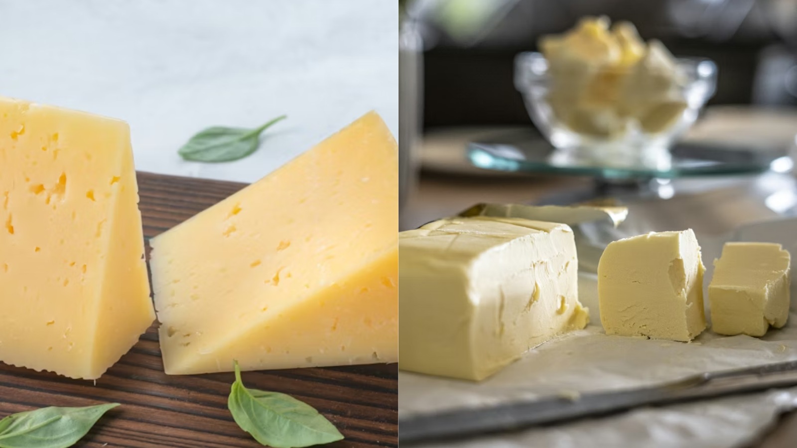 Cheese vs Butter: What is good for you? | Lifestyle Gallery News - The ...