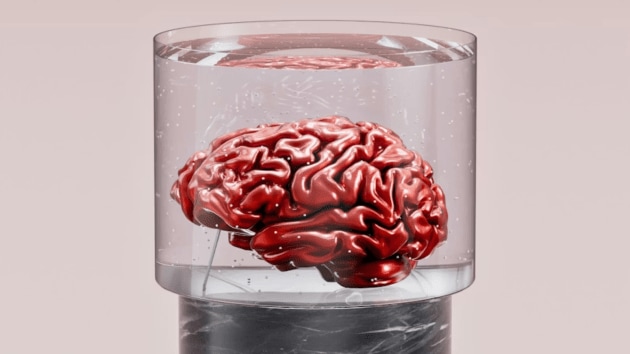 Is there a link between ageing of the brain and peanuts? | Lifestyle ...