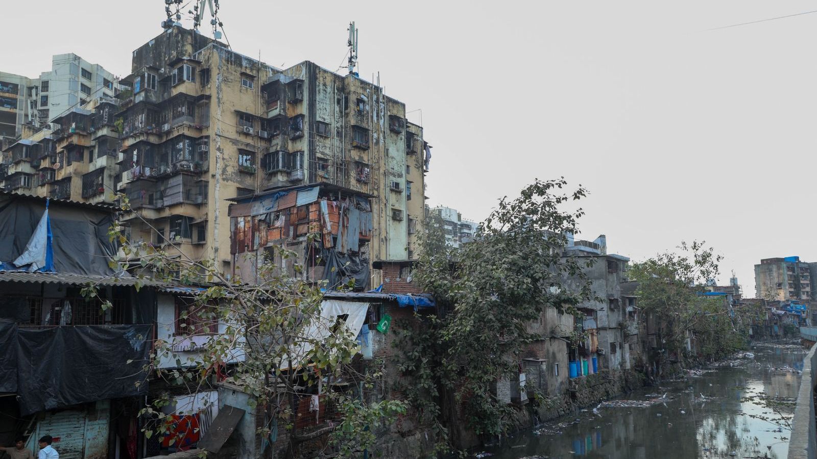 Seat watch | G/North ward: Awaiting Dharavi revamp, ward grapples with ...