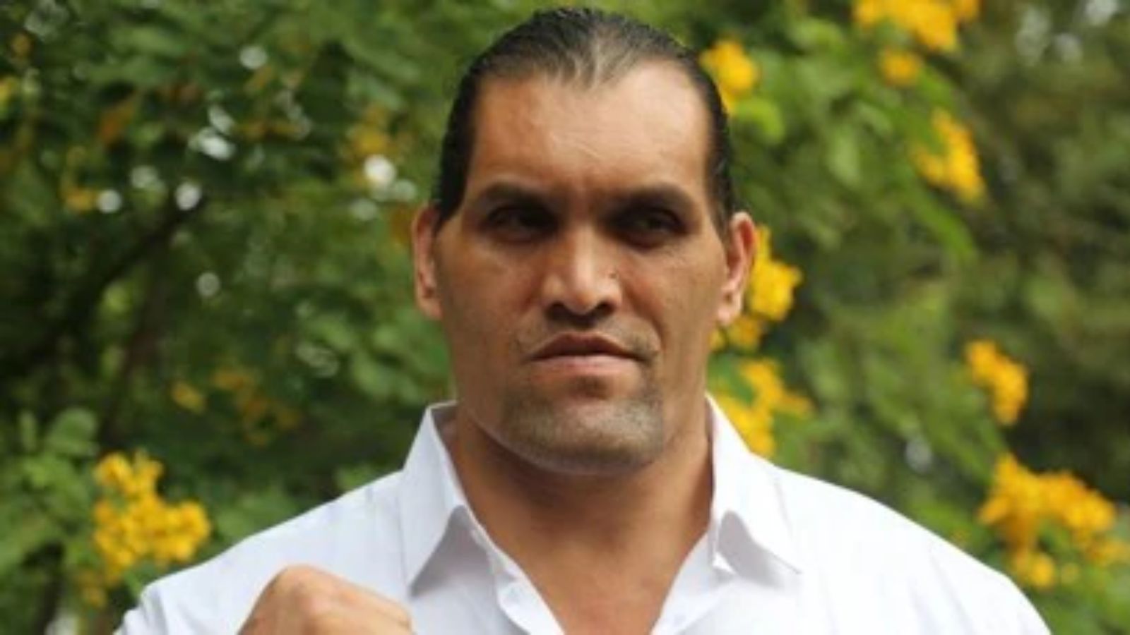 Land dispute with The Great Khali: HP govt orders restraining Paonta ...