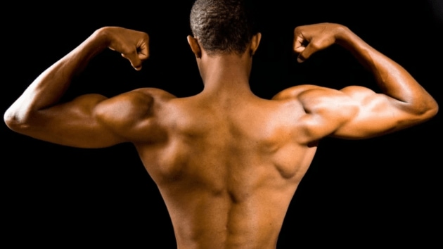 How to gain muscle irrespective of your body type | Lifestyle Gallery ...