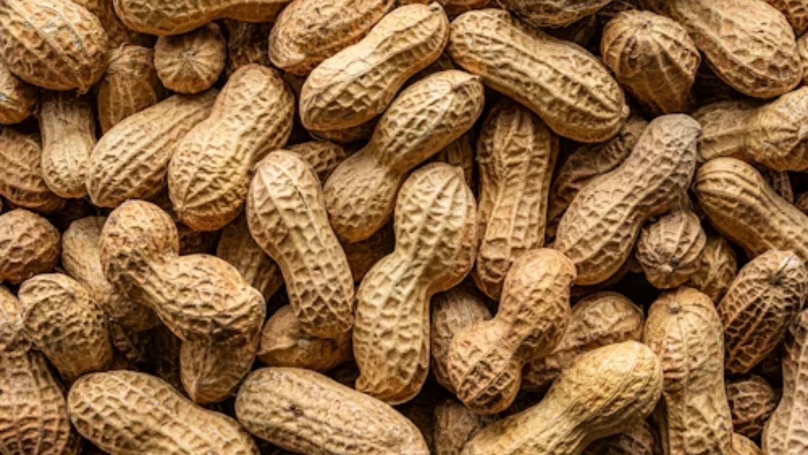 Is there a link between ageing of the brain and peanuts? | Lifestyle ...