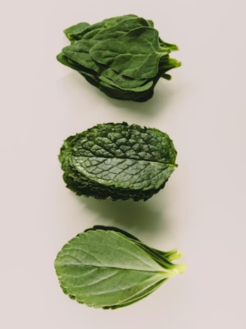 Plant based choline rich foods you should not miss out on