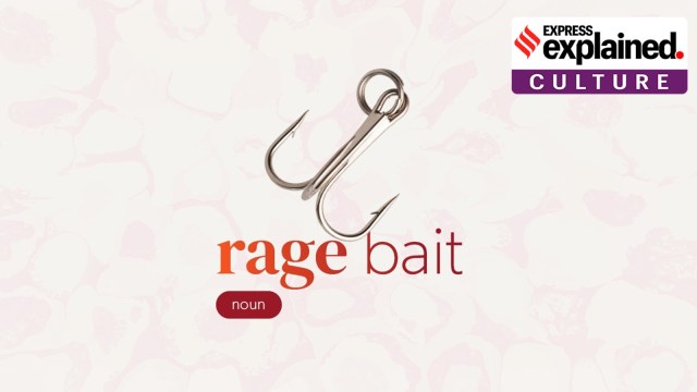 What Oxford Dictionary’s Word of the Year, ‘rage bait’, says about ...