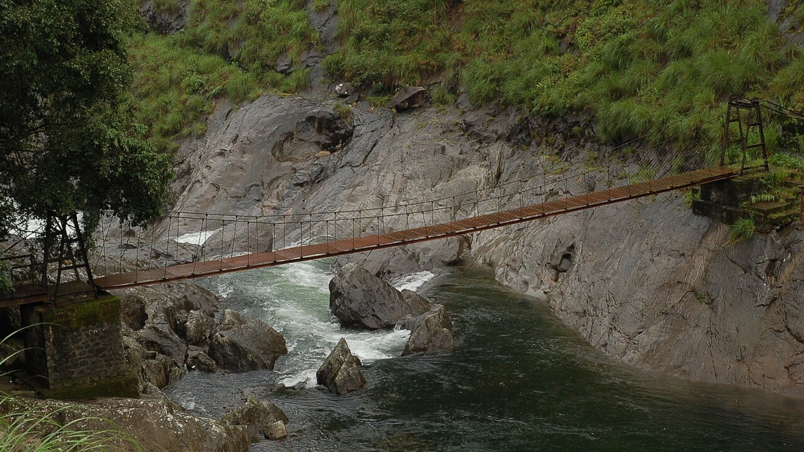 India's most beautiful forest canopies