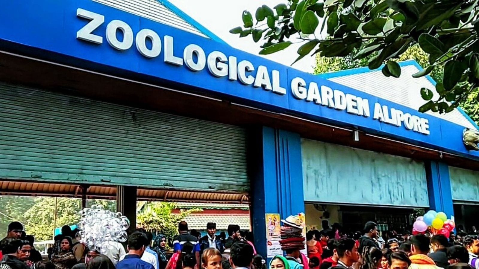 ‘Enclosures and pathways disinfected twice’: Alipore Zoo takes steps ...