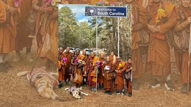 Aloka The Peace Dog: Meet the Indian stray Dog on the ‘Walk of Peace ...