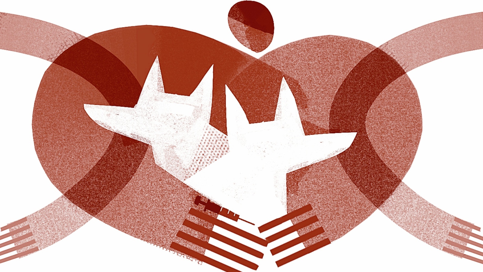 To resolve the street dogs issue, use reason and compassion, not fear and cruel | The Indian Express