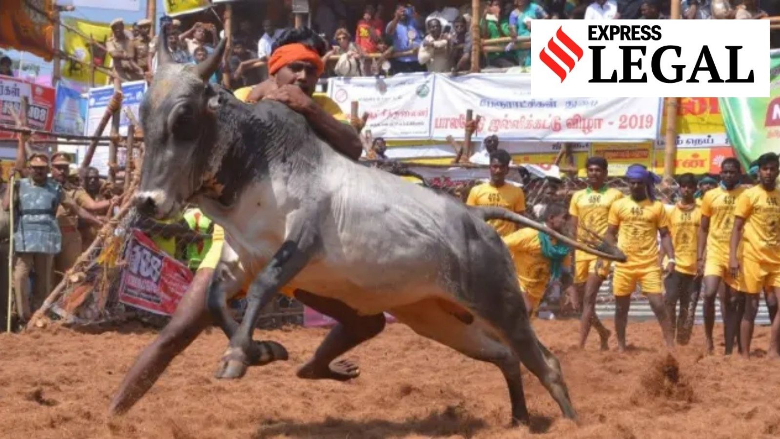 Jallikattu of international importance, only government can organise ...