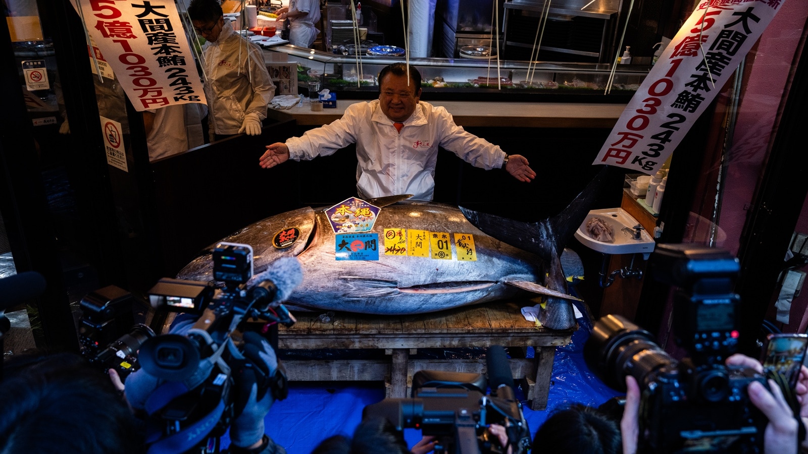 Japan’s bluefina tuna fish sells for record Rs 28 crore at Tokyo fish ...