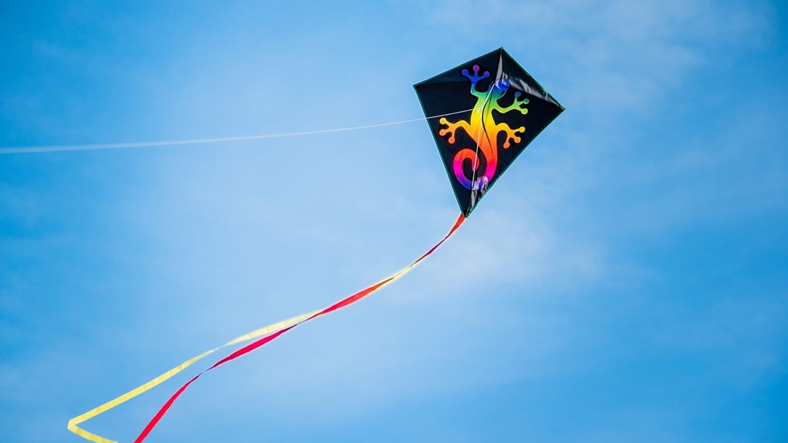 Surat boy dies after kite string slashes his neck, throat | Ahmedabad ...