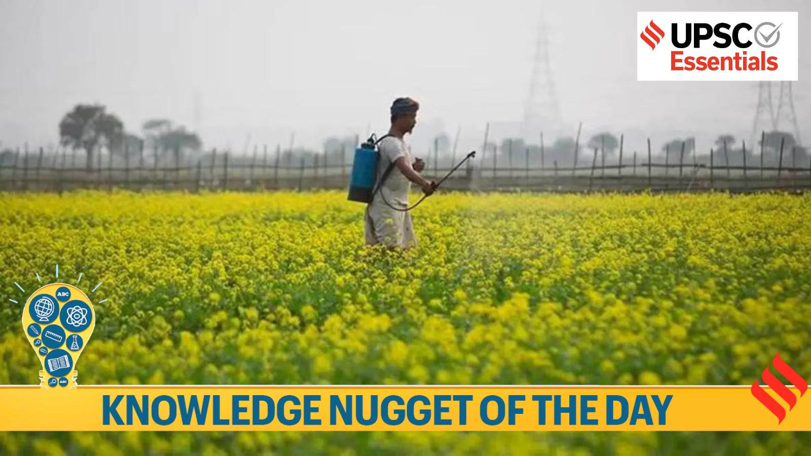 Knowledge Nugget | India’s mustard crop is facing a serious “hidden ...