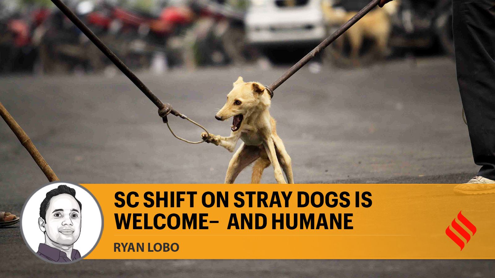 SC shift on stray dogs is welcome — and humane | The Indian Express