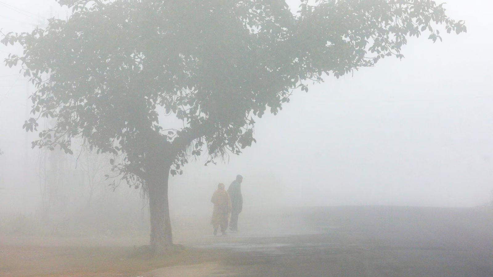 UP continues to shiver: Lucknow sees coldest night at 5.5°C, orange fog ...