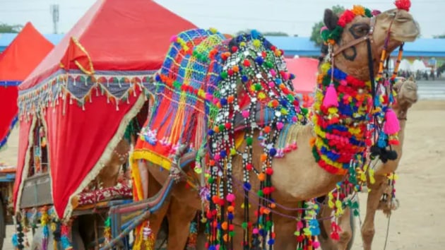 Top 6 animal fairs in India | Lifestyle Gallery News - The Indian Express