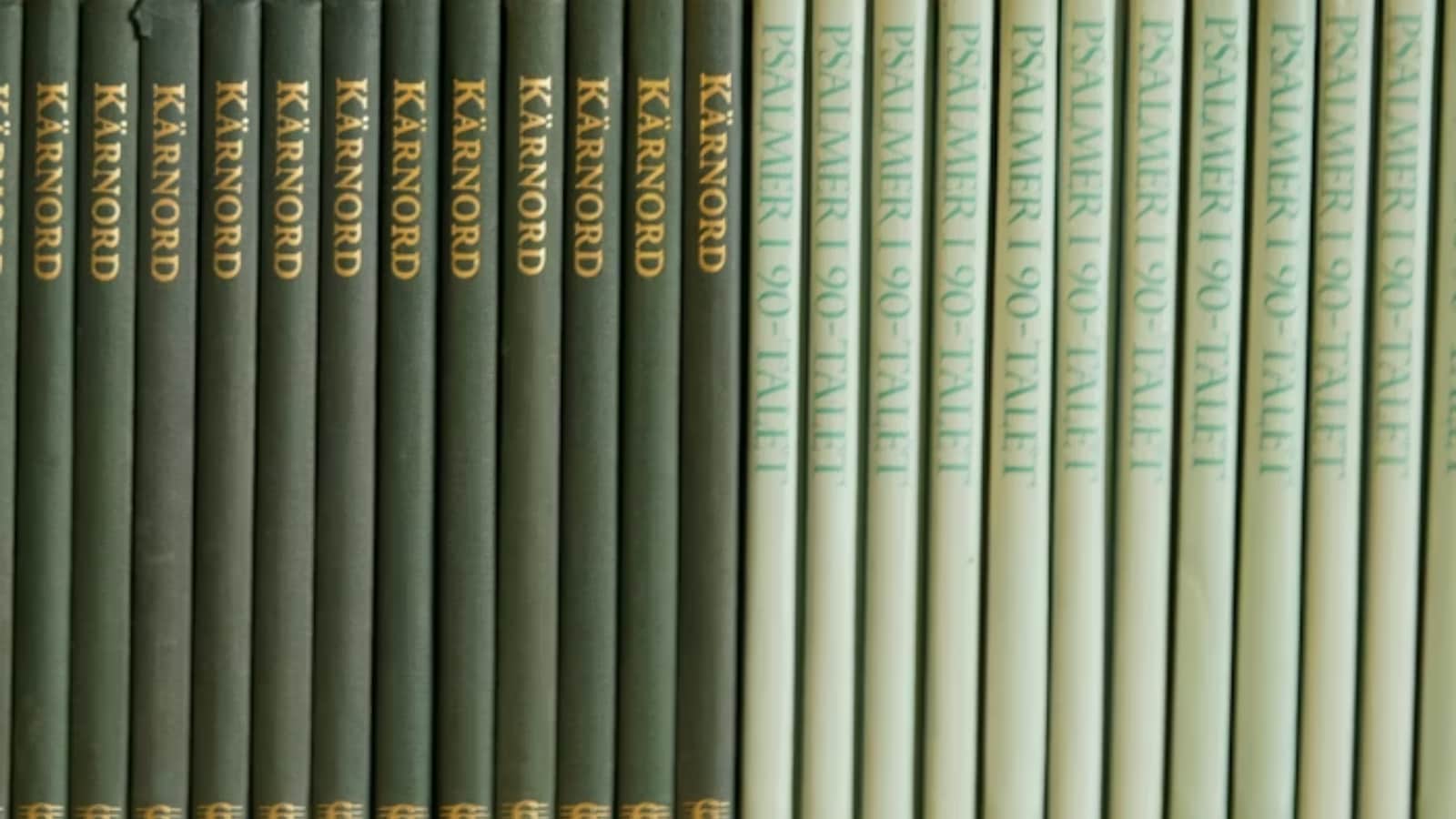 Book adaptations releasing in 2026 | Lifestyle Gallery News - The ...