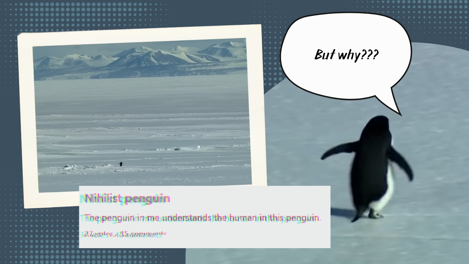 What the ‘nihilist penguin’ tells us about modern exhaustion | Fresh ...
